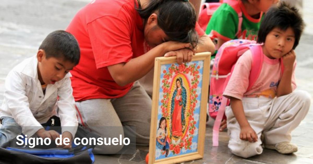 Signo de consuelo | El Observador de la Actualidad