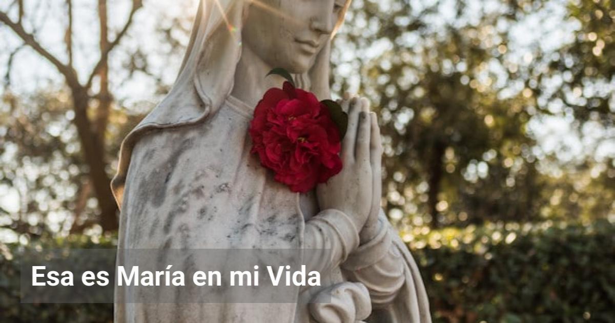 Esa es María en mi Vida | El Observador de la Actualidad