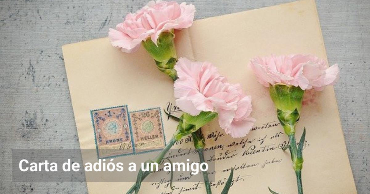 Carta de adiós a un amigo | El Observador de la Actualidad