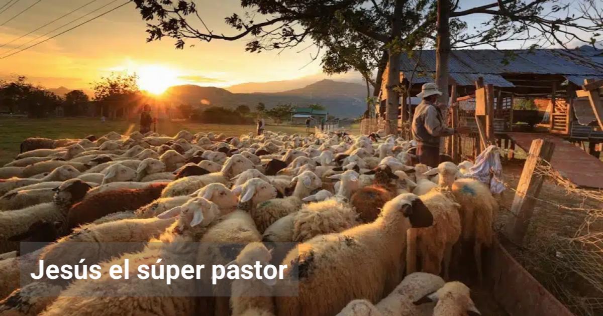 Jesús el súper pastor | El Observador de la Actualidad