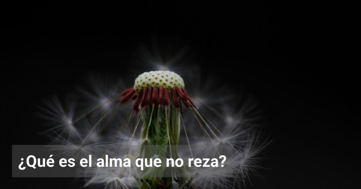 ¿Qué es el alma que no reza? | El Observador de la Actualidad