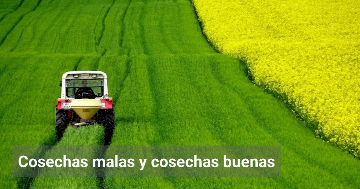 Cosechas malas y cosechas buenas | El Observador de la Actualidad