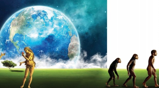 Evolución o Creación: ¿A cuál irle? | El Observador de la Actualidad