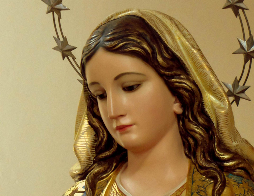 Sin pecado (Dogmas marianos) | El Observador de la Actualidad